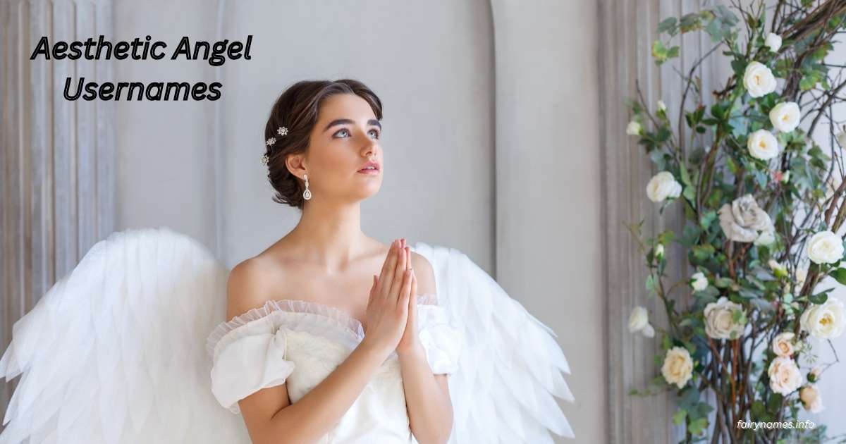 1650+ Best Angel Username Ideas 2025