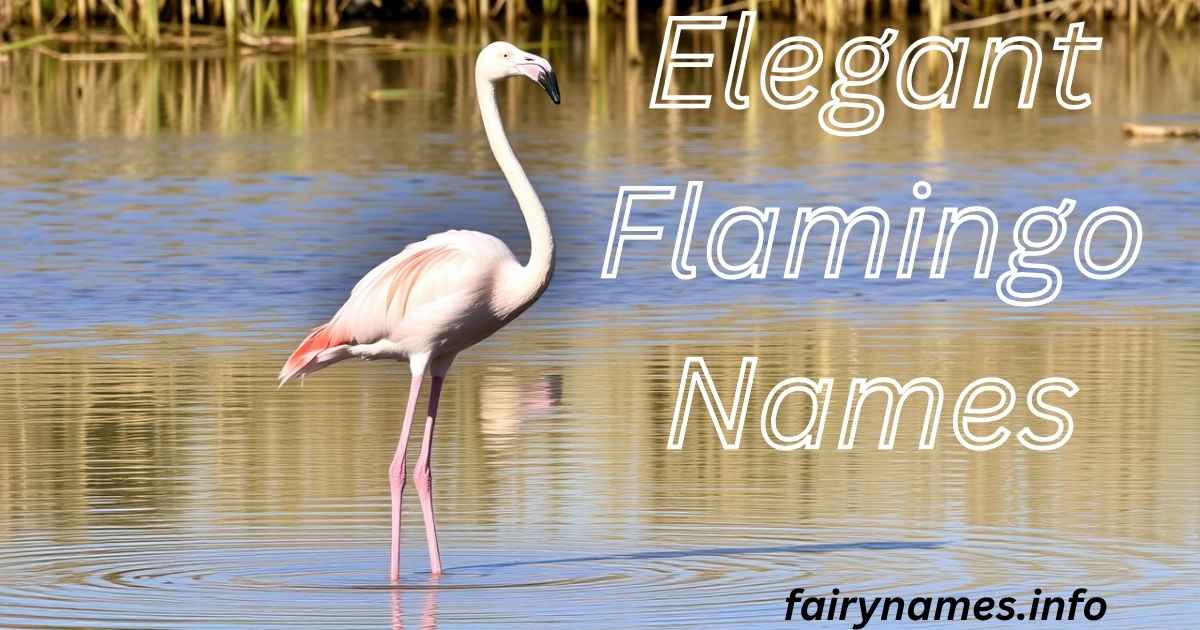 400+ Elegant Flamingo Names: Creative, Cute & Fun Ideas