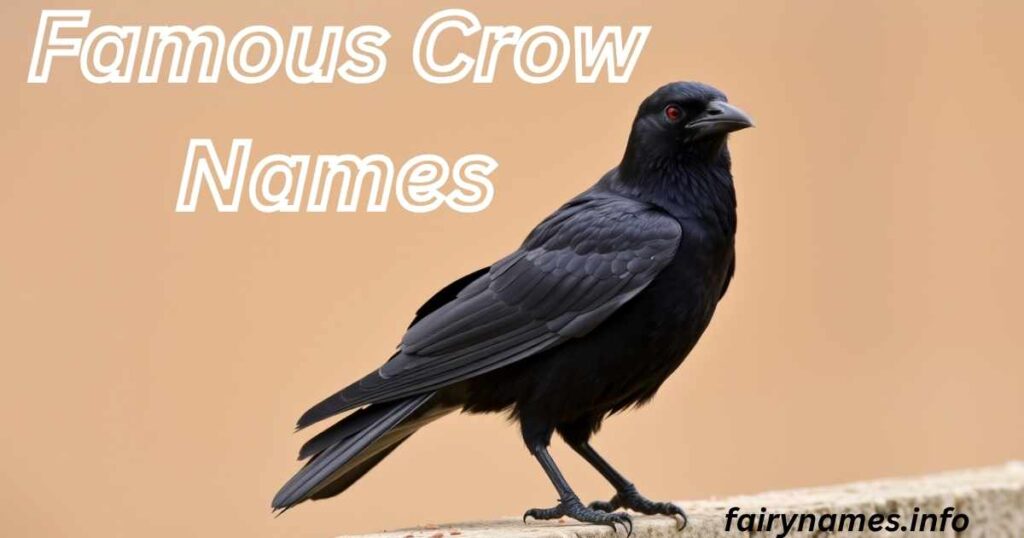 Top 430+ Crow Names: Unique, Funny, and Famous ideas