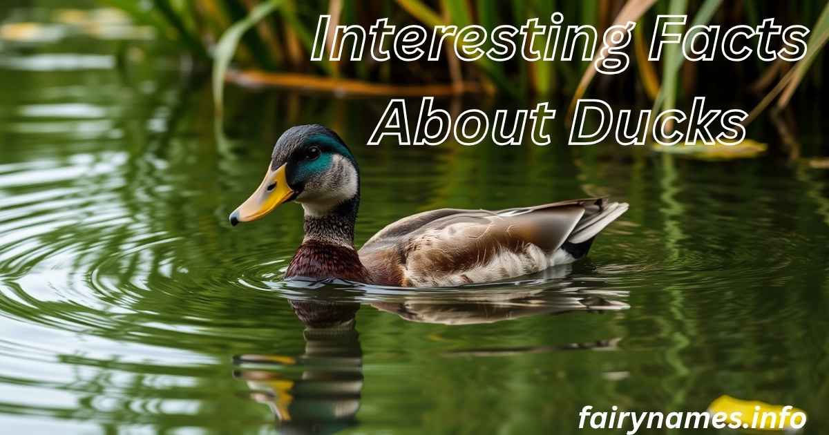 Top 300+ Funny & Unique Duck Names [Best Ideas]
