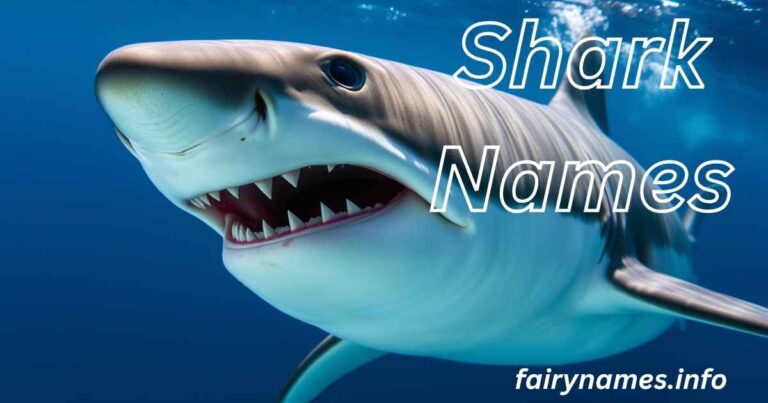 Top 360+ Unique & Powerful Shark Names With Generator